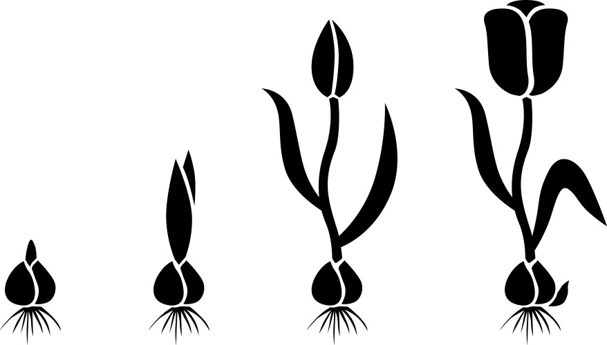 Cycle Vector Images (over 260,000)