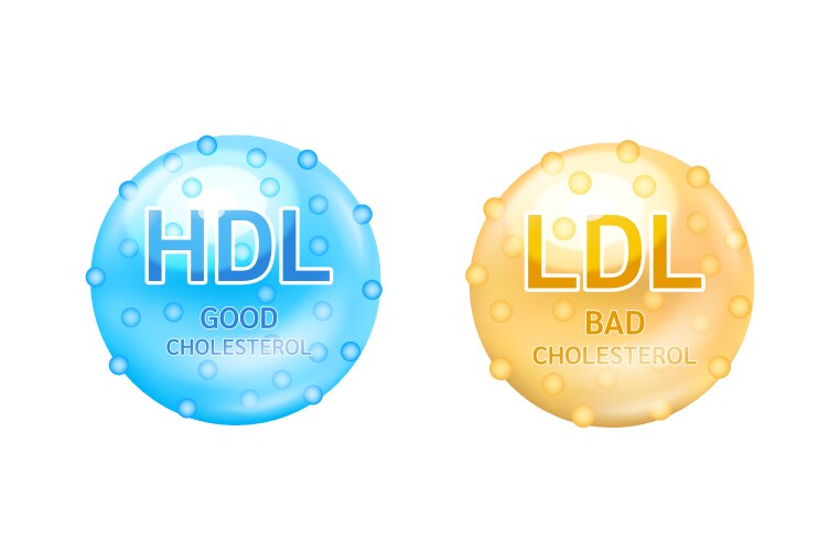 Types of cholesterol Royalty Free Vector Image