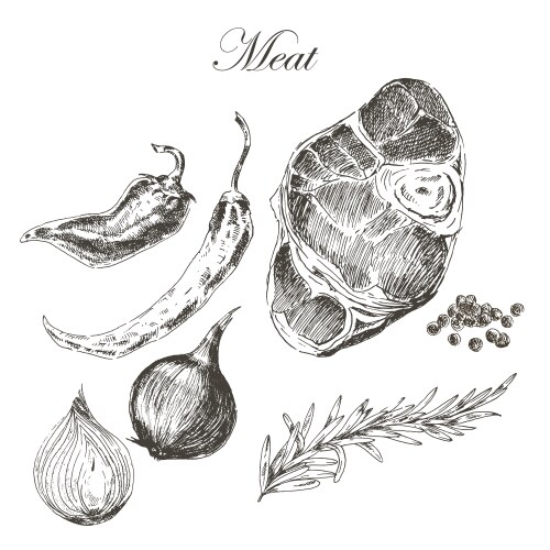 Raw meat set drawing hand drawn beef steak Vector Image