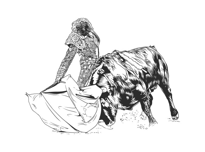 Matador Vector Images (over 2,600)