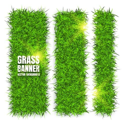 Green grass banners background field meadow Vector Image