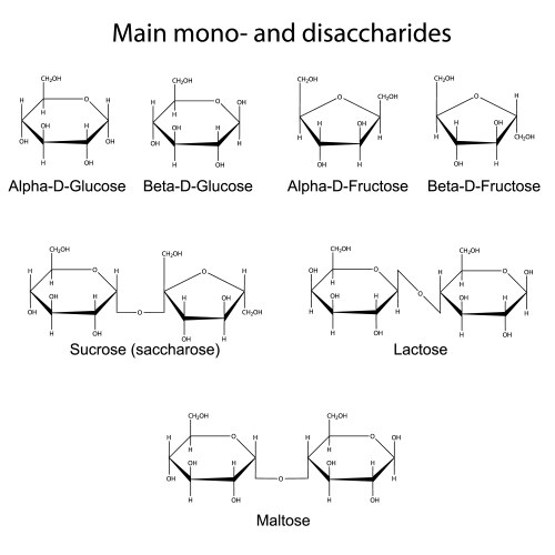 Monosaccharide Vector Images (over 120)