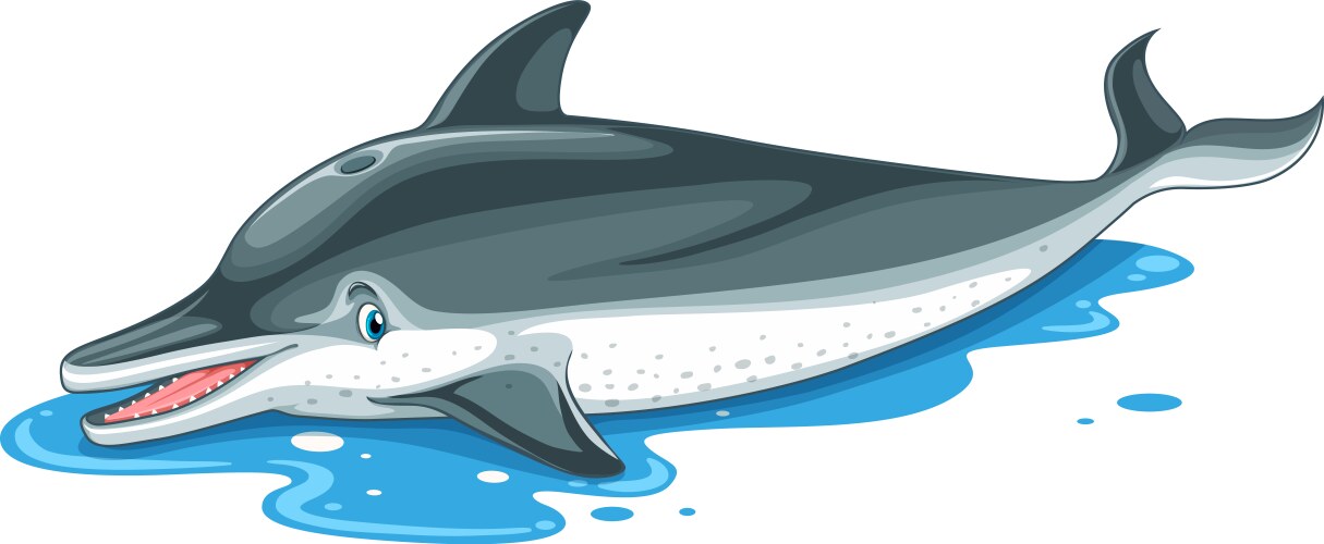 Dolphin Royalty Free Vector Image - VectorStock