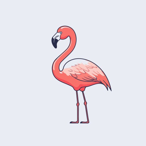 Flamingo isolated on white background Royalty Free Vector