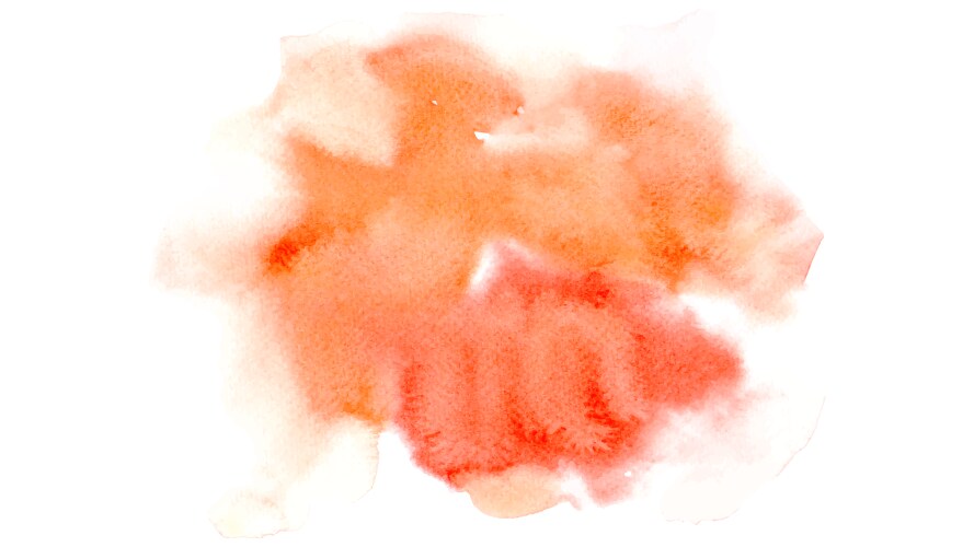 Orange watercolor stains isolated on white Vector Image