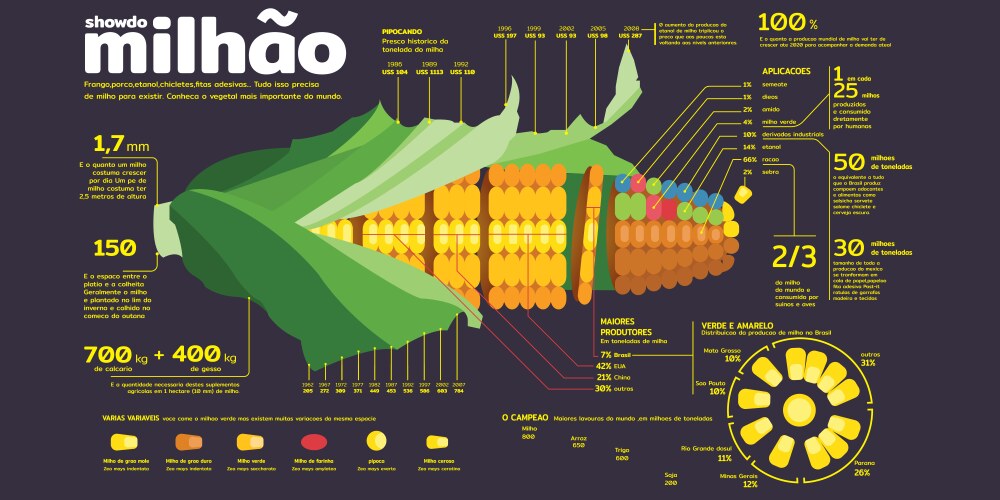 Corn Plant Anatomy Diagram – Royalty-Free Vector | VectorStock