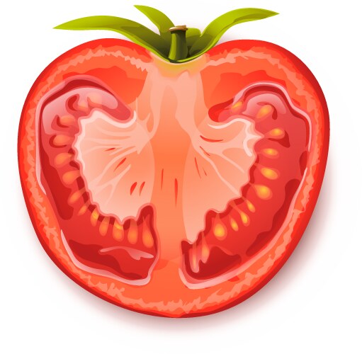 Tomato Royalty Free Vector Image - VectorStock