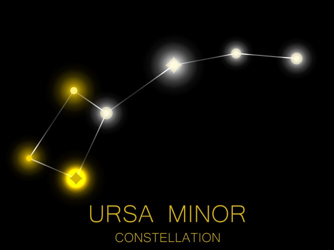 Ursa Minor Vector Images (over 100)