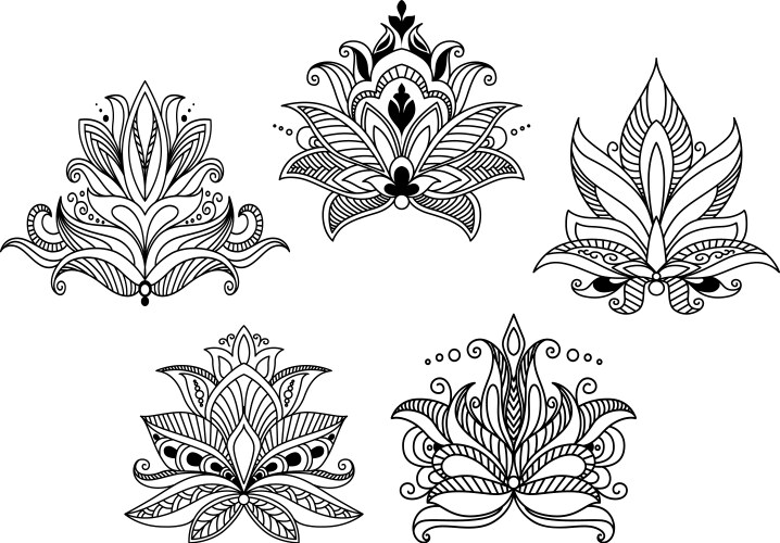 Beautiful hand drawing paisley flower design Vector Image