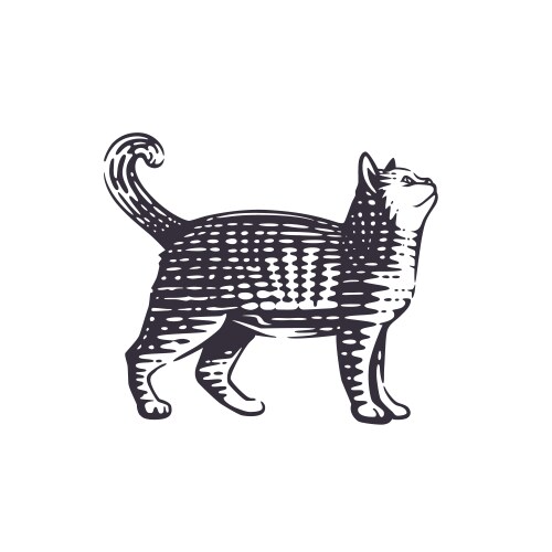 Cat Vector Images (over 360,000)