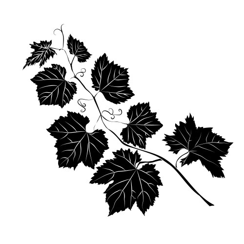 Grape Leaves Vector Images (over 8,200)