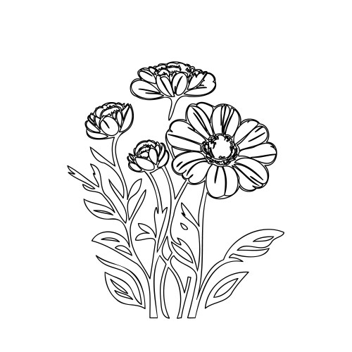 Marigold flower plant sketch outline Royalty Free Vector