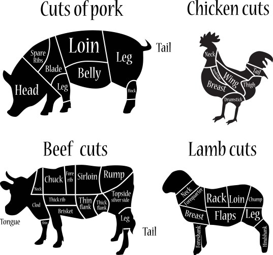 Butcher chart diagramm Royalty Free Vector Image