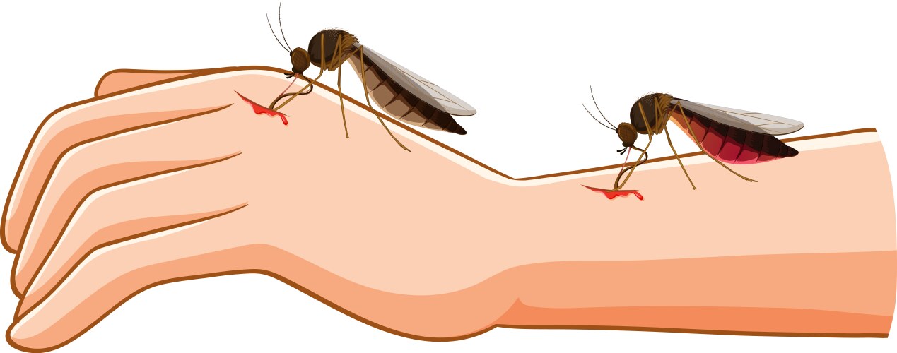 Bite Vector Images (over 35,000)