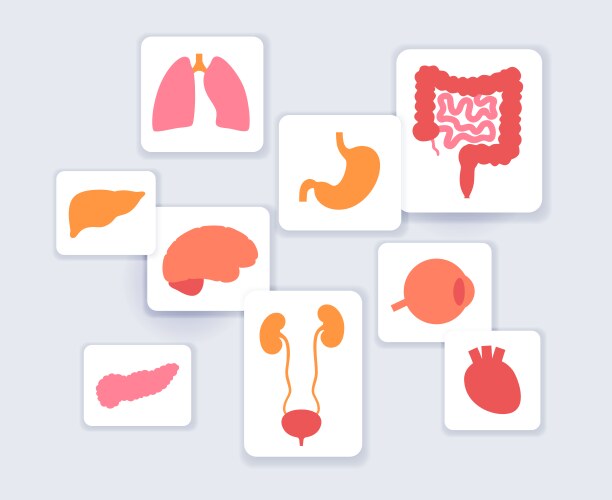 Internal Vector Images (over 550,000)