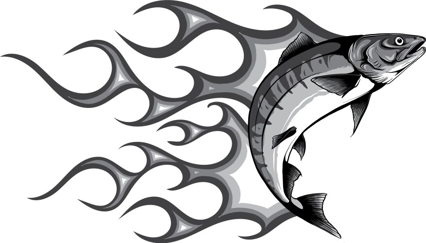 Fish Eye Vector Images (over 9,600)