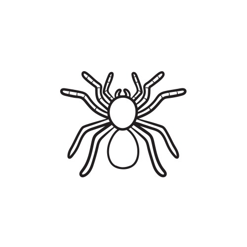 Spider Tarantula Sketch Vector Images (over 430)