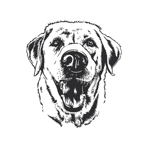 Cute Dog Drawing Vector Images (over 68,000)