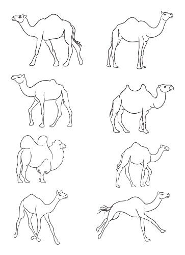 Walking white hen animation sprite sheet isolated Vector Image