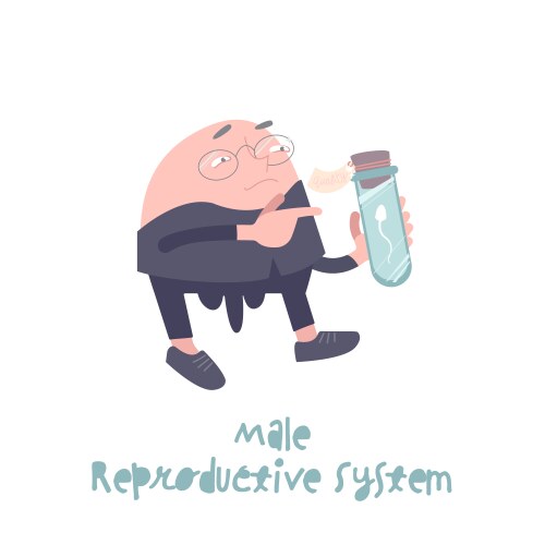 Testicle Cartoon Testis Vector Images (39)