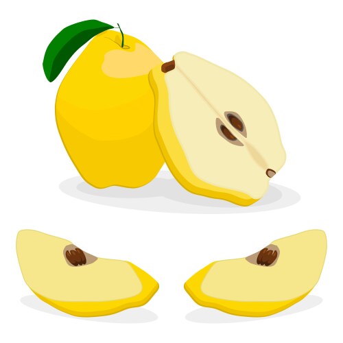 Quince Logo Vector Images (over 150)