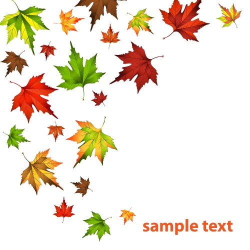 Fall leaves Royalty Free Vector Image - VectorStock