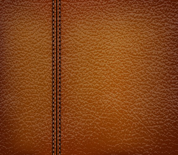 Cushion leather background Royalty Free Vector Image