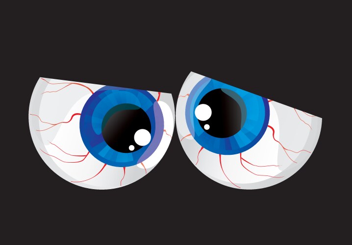 Bulging eyes Royalty Free Vector Image - VectorStock