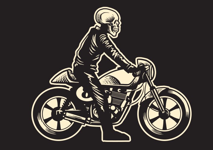 Skull rider Royalty Free Vector Image - VectorStock