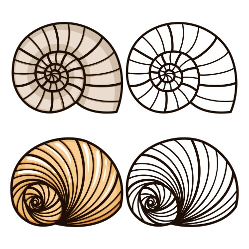 Cartoon scallops tropical concha sea snail oyster Vector Image