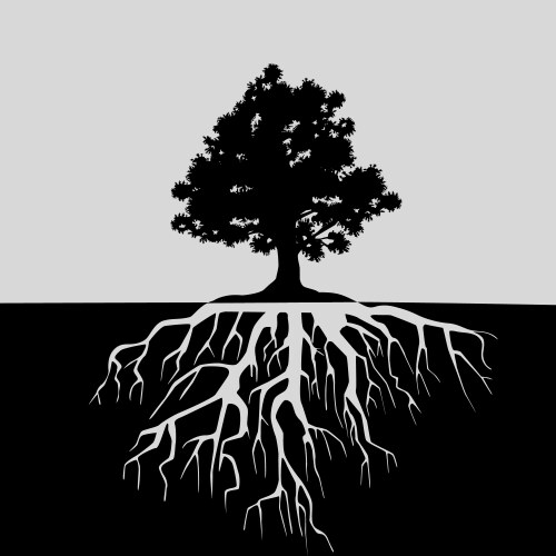 Tree Roots Black and White Vector Images (over 2,900)