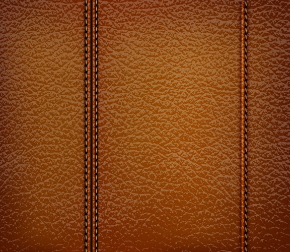 Leather background Royalty Free Vector Image - VectorStock