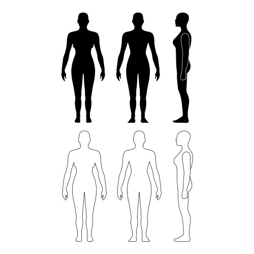 Human Body Front Back Outline Vector Images (over 570)