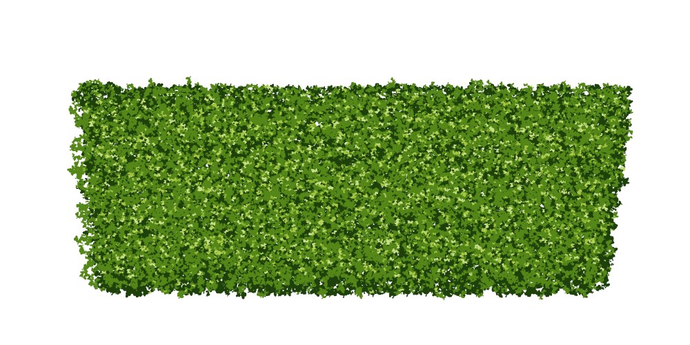 Green Shrubbery Hedge Isolated Royalty Free Vector Image
