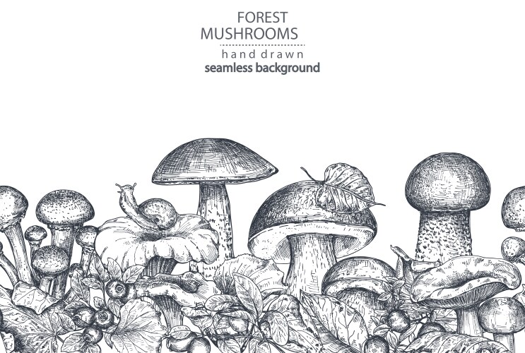 Composition of hand drawn forest mushrooms Vector Image