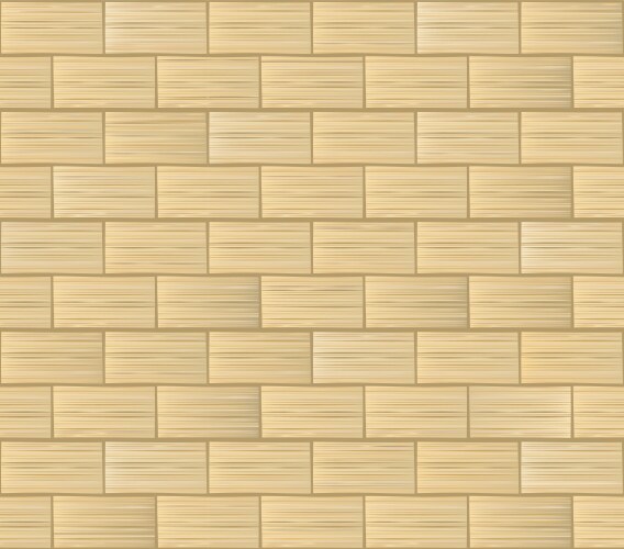 Straw texture Royalty Free Vector Image - VectorStock