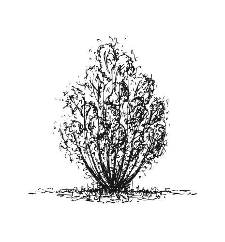 Alpine landscape sketch mountain cabin pine tree Vector Image