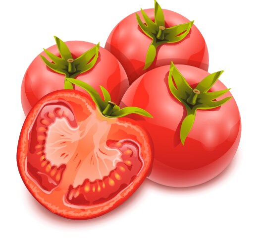 Tomato Vector Images (over 150,000)