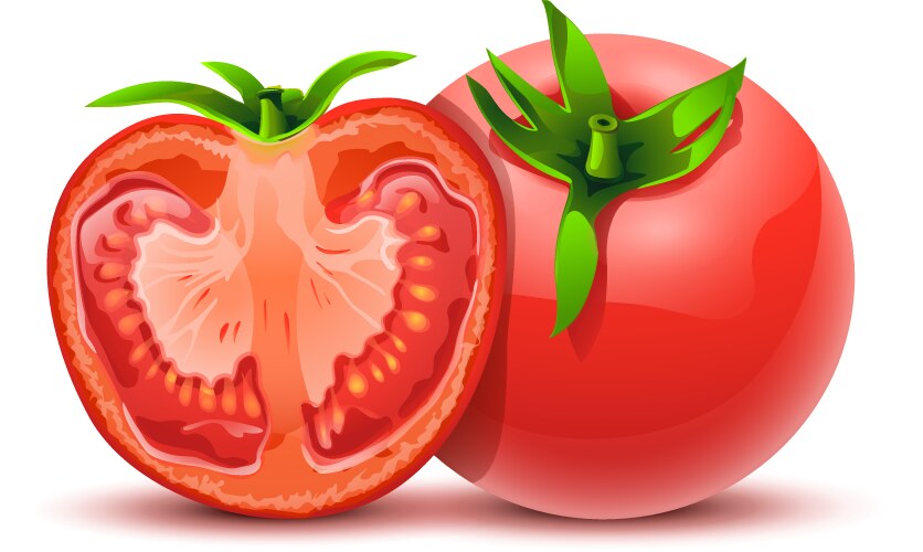 Tomato Vector Images (over 130,000)