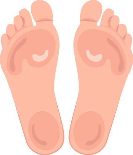 Webflat icon depicting beautiful female feet Vector Image