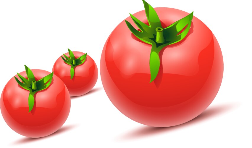 Tomato Vector Images (over 130,000)