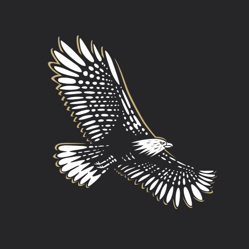 Eagle Vector Images (over 78,000)