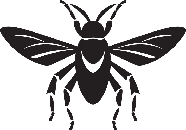 Tarantula hawk emblematic art insect kingdoms Vector Image