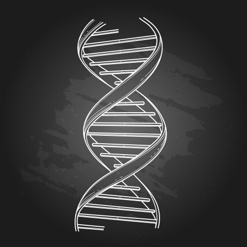Graphic dna structure Royalty Free Vector Image