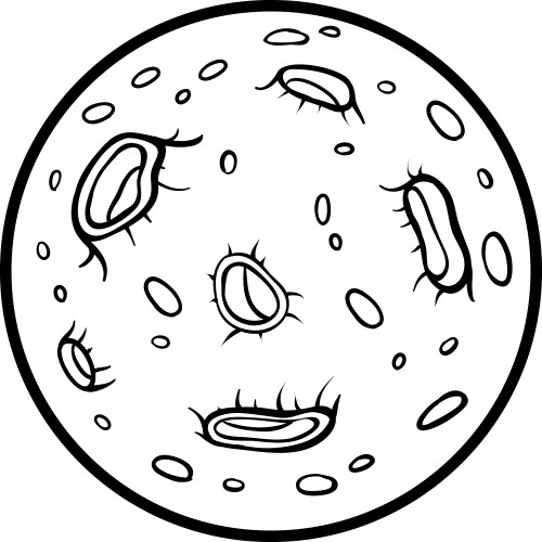 Solar System Coloring Pages Vector Images (over 530)