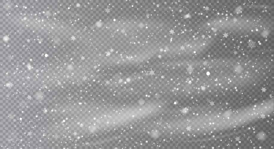 Falling snow overlay background Royalty Free Vector Image