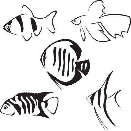 Fish Line Drawing Vector Images (over 36,000)