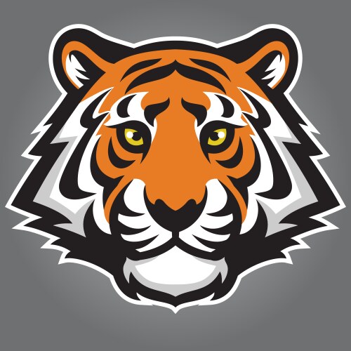 Tiger head graphic design Royalty Free Vector Image