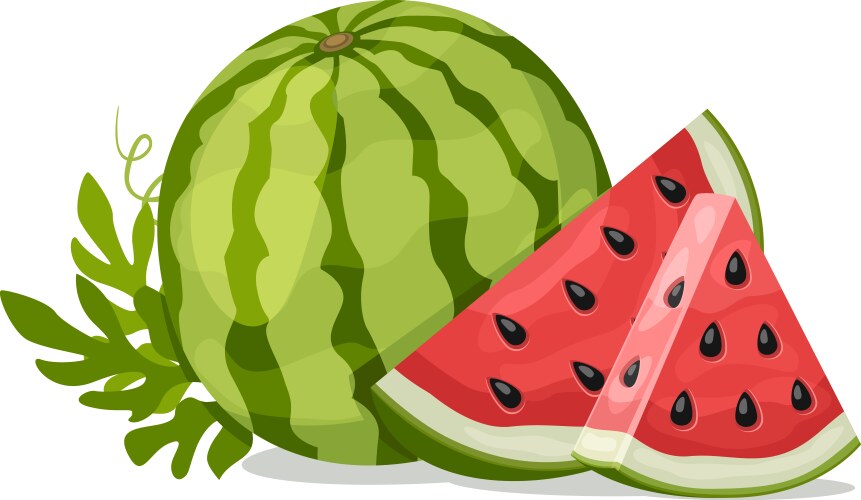 Watermelon Triangle Slice Vector Images (over 470)