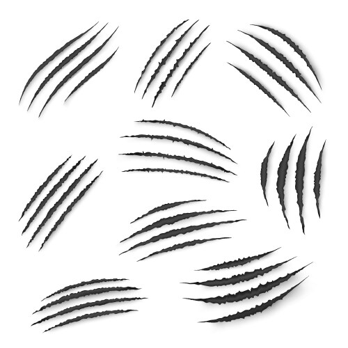 Claw Rip Vector Images (over 1,000)
